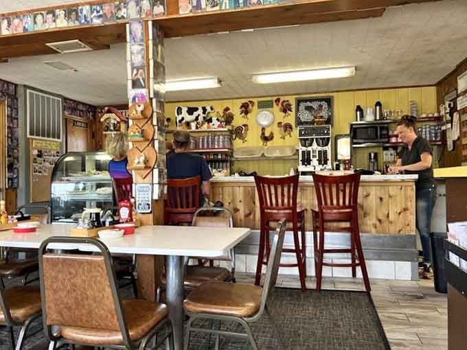 Counter seating where regulars gather, coffee flows freely, and the chicken decor watches over every delicious bite.