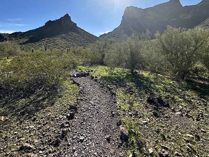 A gravel path leading straight toward the peak, nature's own version of a red carpet entrance.