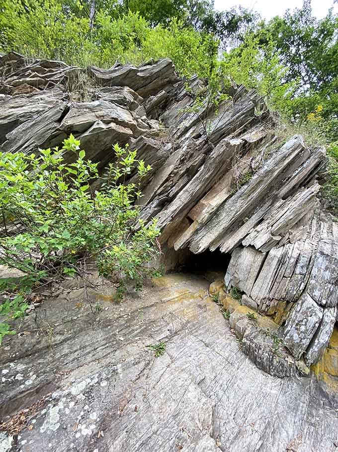 These layered rock slabs look like pages from a geology textbook, except infinitely more interesting and you can actually touch them.