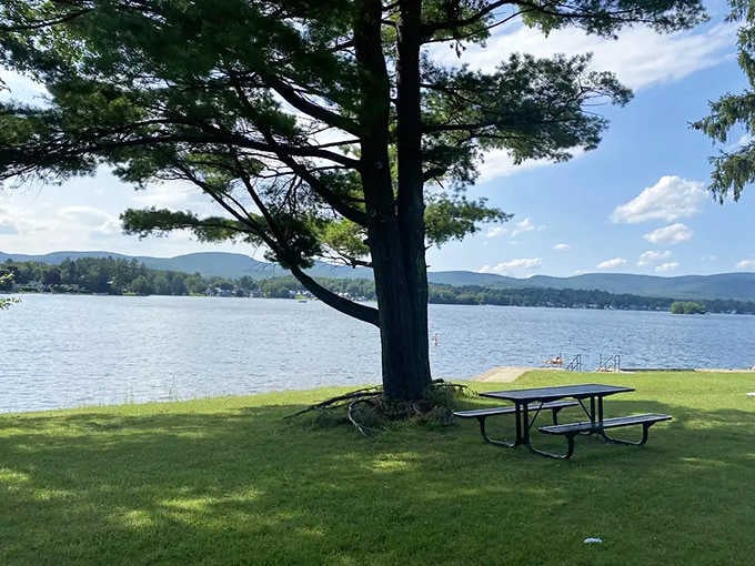 A picnic table under a big shady tree with that view. Honestly, lunch has never had better real estate.