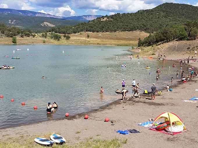 The Dutch Charlie swim beach fills up fast on summer weekends, and honestly, nobody's complaining about that.