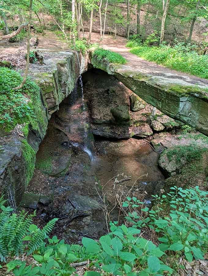Water trickles through a mossy sandstone channel into a quiet pool below, geology doing its slow, gorgeous work one drop at a time.