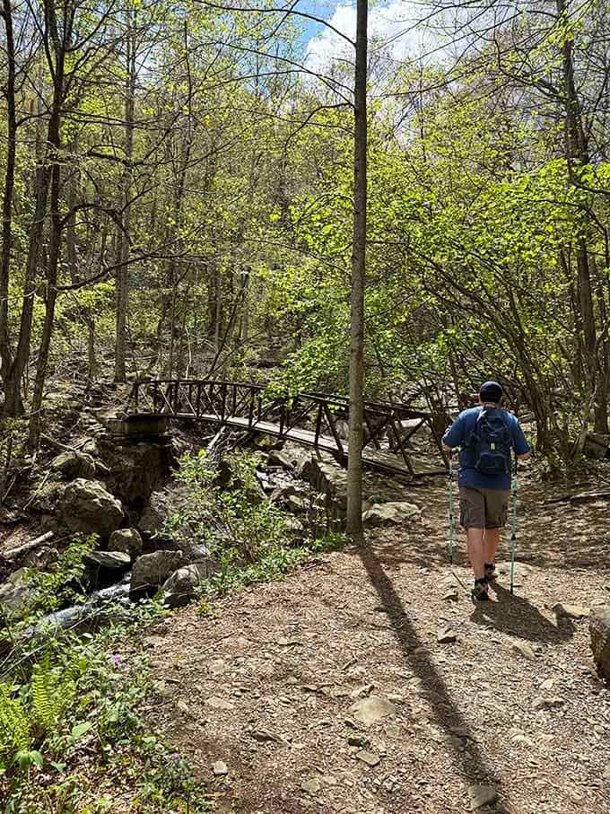 Hiking poles, a good backpack, and a bridge over rushing water. This person has their priorities completely sorted out.