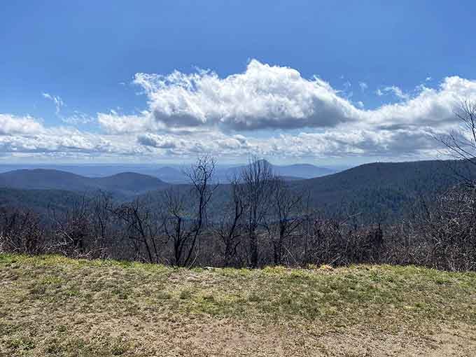 That moment when clouds and mountains collaborate to create something absolutely worth pulling over for.