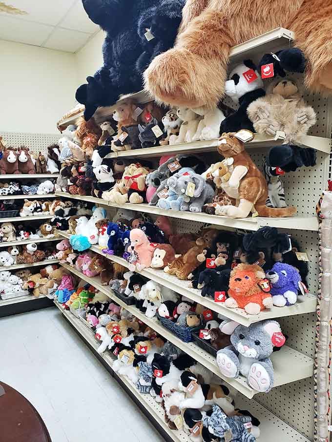 Apparently Ruth Hunt also has an entire wall of stuffed animals, because why not make the kids even more excited to visit.