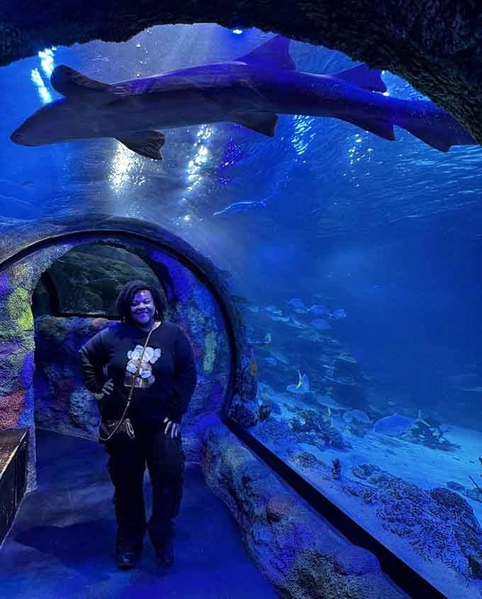 The perfect photo opportunity where you become part of the underwater world, at least for Instagram purposes.