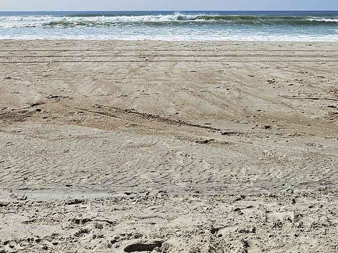 Wide open sand, rolling waves, and not a parking meter in sight. This is the beach experience you didn't know you were missing.