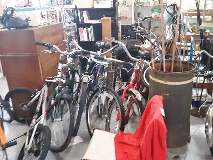 Vintage bicycles waiting patiently for someone to appreciate their simple, pre-electric charm and two-wheeled nostalgia.