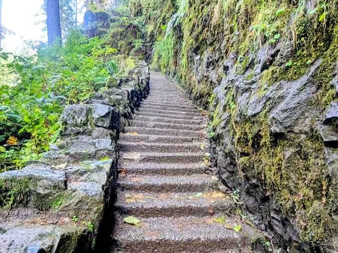 Stone steps carved right into the canyon wall, because Silver Falls doesn't do anything halfway, including its staircases.