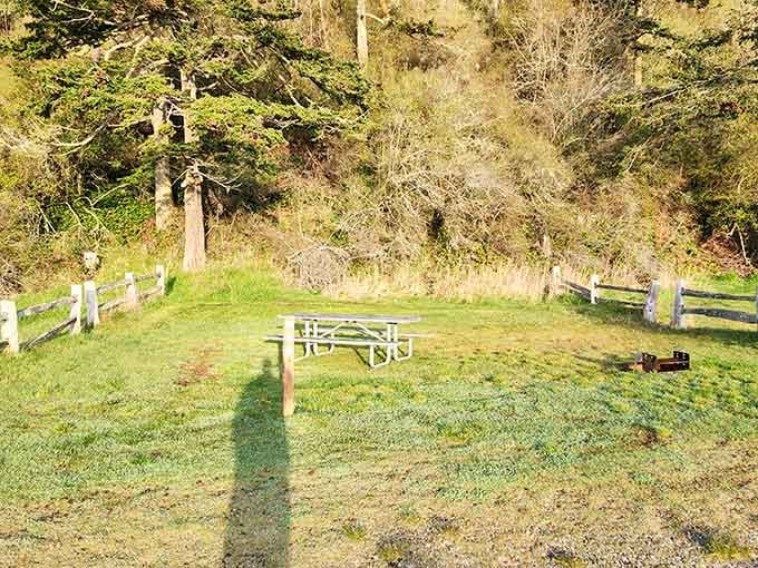 Picnic tables positioned for maximum scenery appreciation and minimum effort—the Pacific Northwest understands priorities perfectly.