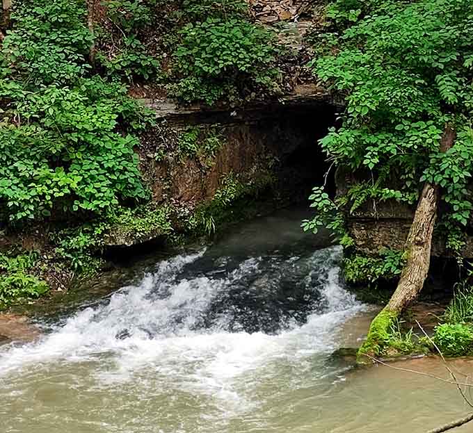 Underground water bursts out from beneath the rock, loud and joyful, like it's been waiting all day to say hello.