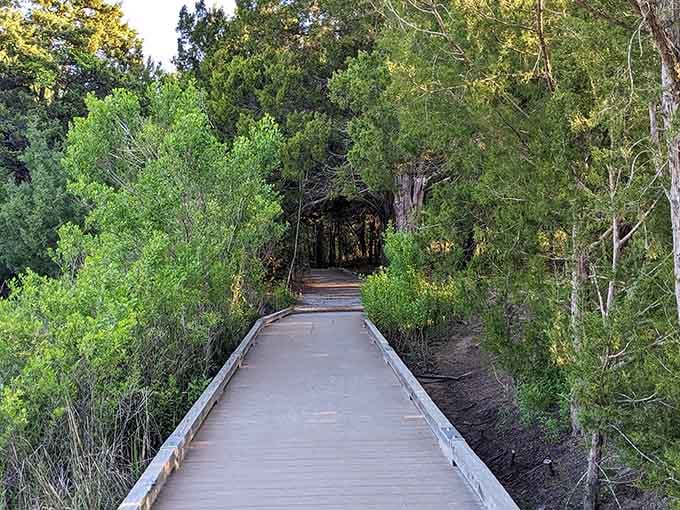 The boardwalk leads straight into a canopy of trees, like the park is personally inviting you somewhere wonderful.