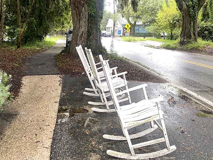 White rocking chairs under ancient oaks, proof that McClellanville understands the art of slowing down beautifully.