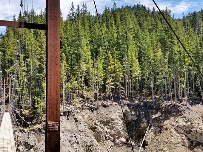 Surrounded by towering evergreens, the bridge becomes a portal between two worlds of ancient forest.