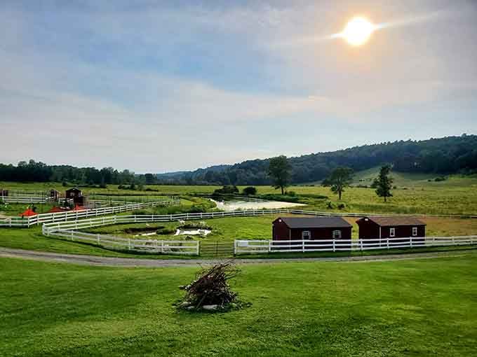 White fences curve around red barns and a glimmering pond as the sun sets over the whole gorgeous scene.