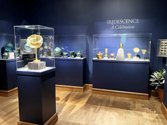The "Iridescence: A Celebration" gallery glows deep blue and gold, like someone bottled the feeling of watching sunlight hit a soap bubble.