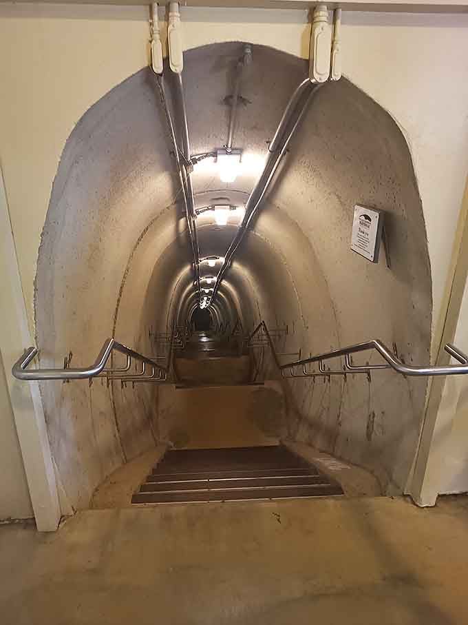 That smooth arched tunnel descending into quiet darkness is your personal invitation to step into Wisconsin's mining past.