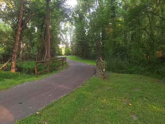 Wooden fence posts framing a gentle curve into the trees give this quiet evening stretch a storybook quality that's hard to shake.