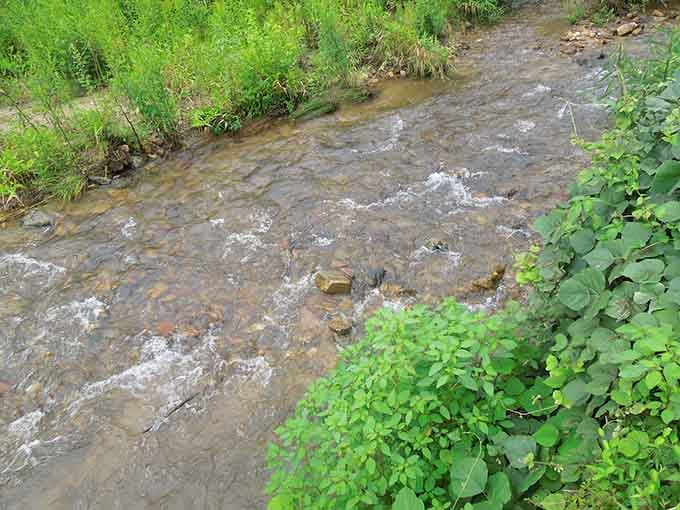That creek isn't just scenic. It's the kind of sound that makes your shoulders drop three inches in relief.