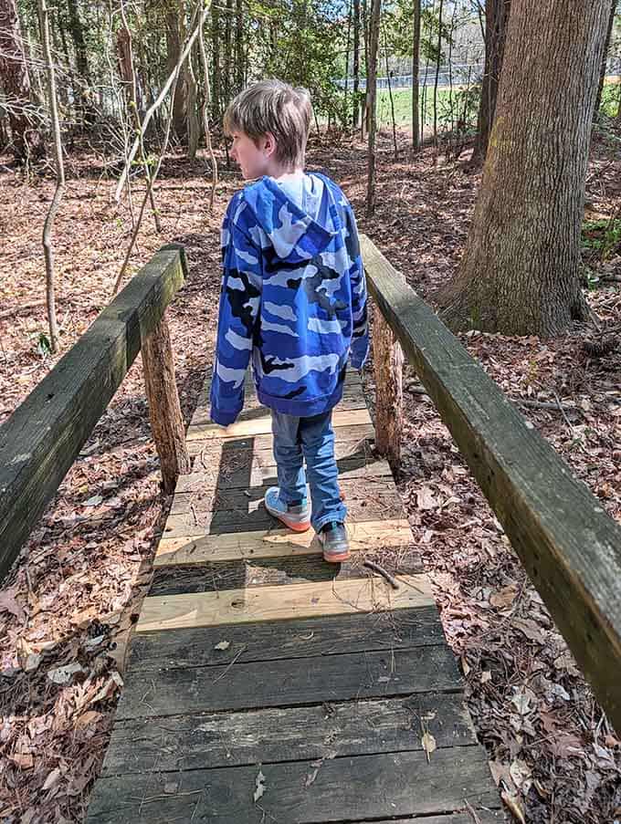 Young explorers discover that bridges are more than just ways to cross water; they're adventures themselves.