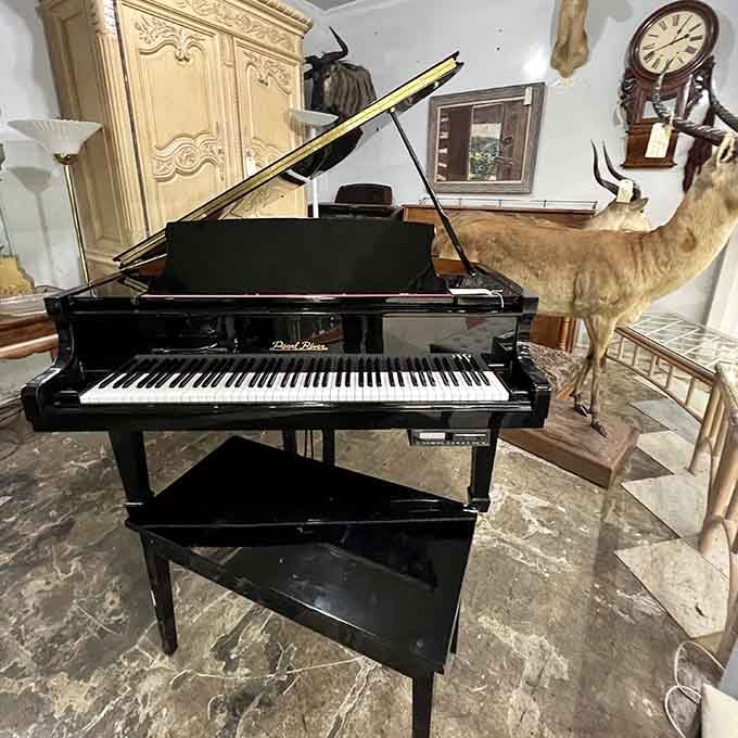 A gleaming black grand piano sitting next to a taxidermied deer, and somehow it all makes perfect sense here.