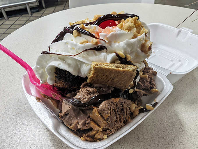Chocolate ice cream, hot fudge, whipped cream, nuts, and a cherry. A sundae that means serious business.