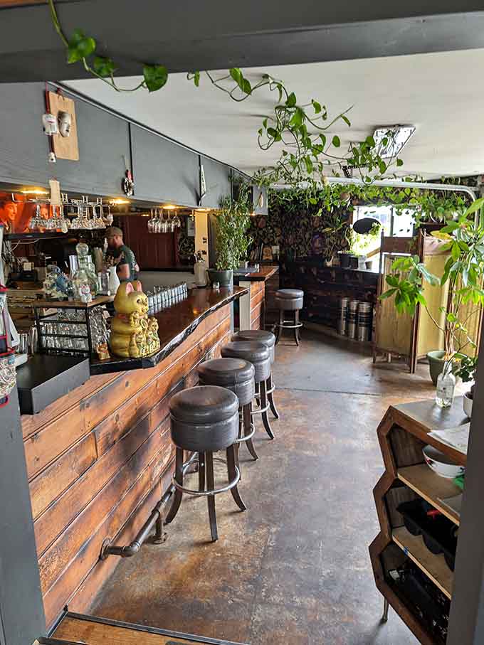 A warm wooden bar, trailing plants overhead, and a lucky cat keeping watch. This place has its own very good energy.
