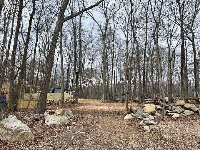The entryway at TreeTrails Adventures sets the tone, rustic, natural, and quietly promising a great time.