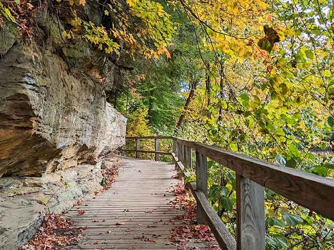 A wooden trail hugs the sandstone cliff face, framed by autumn leaves that absolutely know they're beautiful.