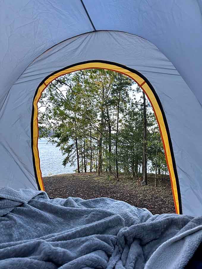 The view from inside the tent is so good it almost makes the air mattress feel like a luxury mattress. Almost.