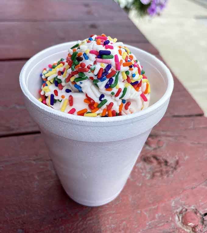 A cup of Hershey's ice cream loaded with rainbow sprinkles. Pennsylvania sunshine in dessert form, no question about it.