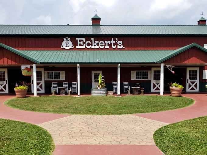 Eckert's Orchard sits pretty in its red barn glory, the kind of place that makes you want to bake something immediately.