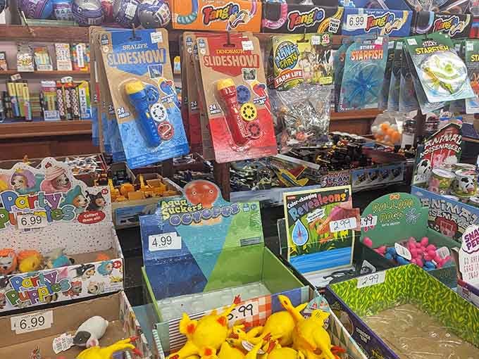 Slideshow projectors, sticky starfish, and color-changing chameleons, basically a greatest hits collection of childhood wonder in one glorious display.