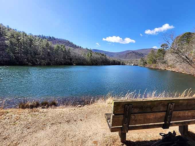 A lakeside bench with a mountain view is the universe's way of saying, sit down and breathe.