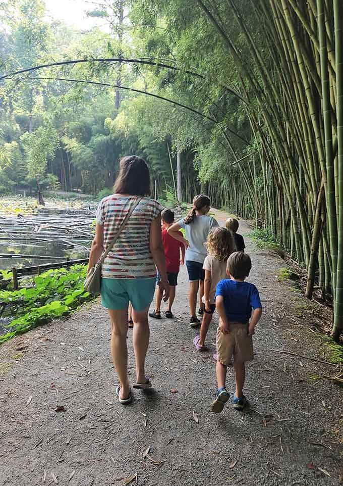 Kids discovering a bamboo forest for the first time, walking alongside water and wonder in equal measure.