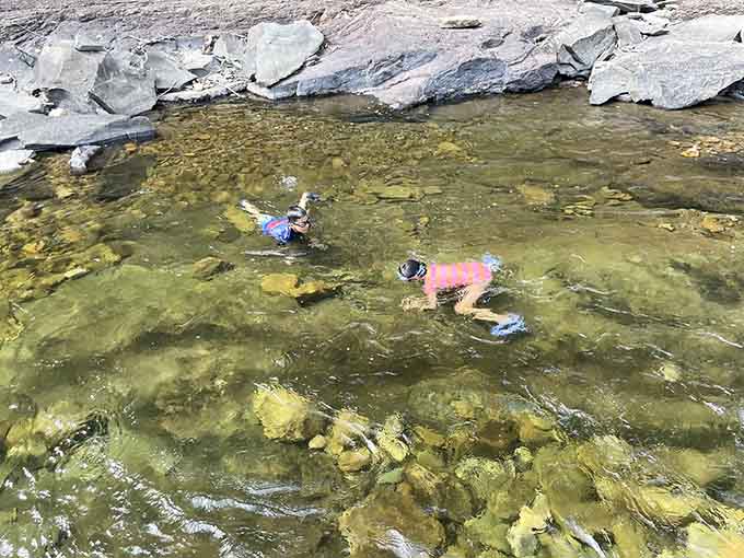 When the creek is this clear, even the snorkel gear comes out, and honestly, nobody is judging anyone here.