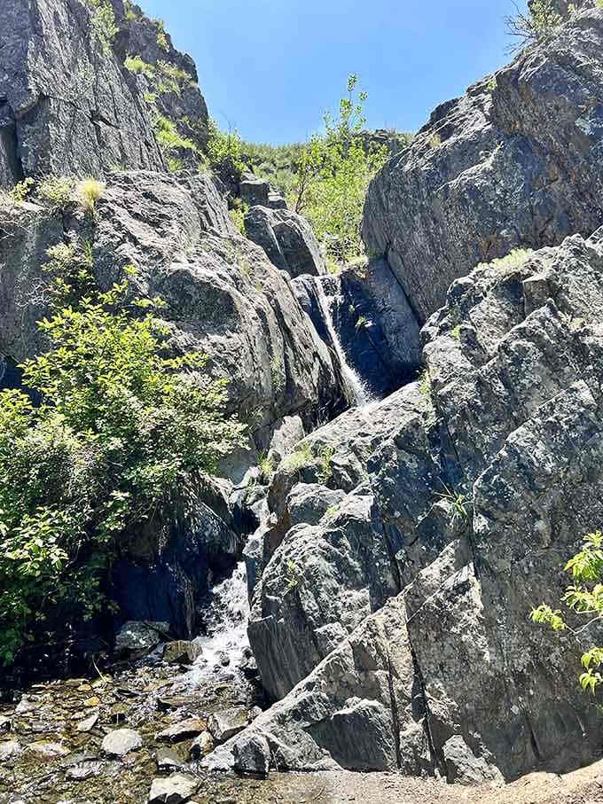 Soldier Canyon Falls tucks itself between dark granite boulders in the Fort Collins foothills, a quiet little gem hiding in plain sight.