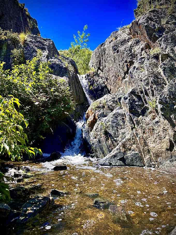 Bright green summer leaves frame the sparkling pool at the base of Soldier Canyon Falls, making this foothills find feel like a cool, refreshing secret.