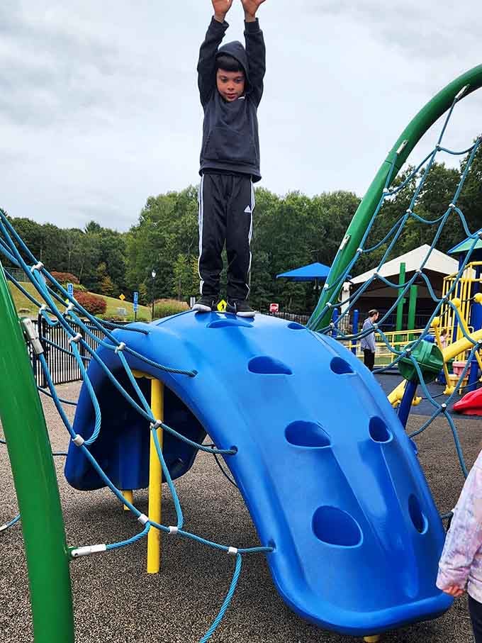 Standing tall at the summit like a tiny champion. This climbing course just met its match in Tolland.