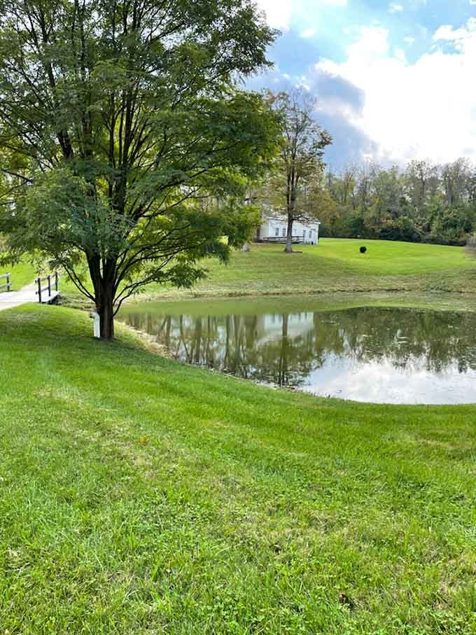 Still water, a wooden footbridge, and a white outbuilding beyond the tree make this pond scene almost suspiciously peaceful.
