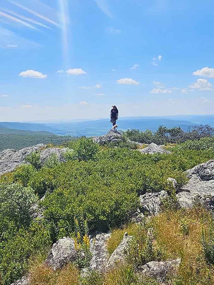 Standing on top of the world, or at least the Massachusetts version of it, which honestly feels pretty close.
