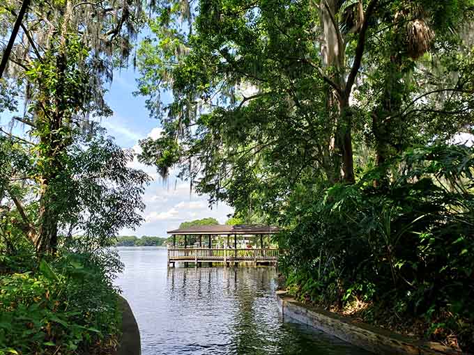 Spanish moss drapes over the lakeside gazebo like nature's own curtain call. Lake Osceola doesn't do anything halfway.