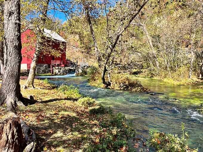 Golden leaves, rushing water, and that unmistakable red mill. Fall at Alley Spring is simply unfair to other seasons.