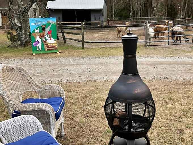 Wicker chairs, a chiminea, and alpacas just hanging out nearby, this is retirement goals made real.