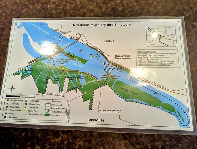 Trail maps reveal the sanctuary's scope, showing more paths than a shopping mall but with significantly better scenery.