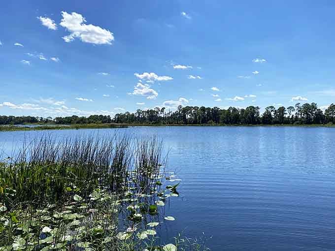 Little Redwater Lake sits still and gorgeous, the kind of view that makes your morning coffee taste better.