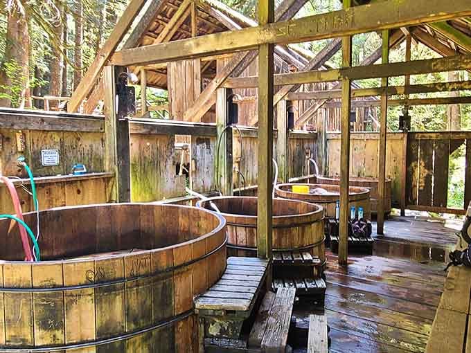 A row of cedar tubs waits patiently, like the world's most wholesome lineup you'll ever join.