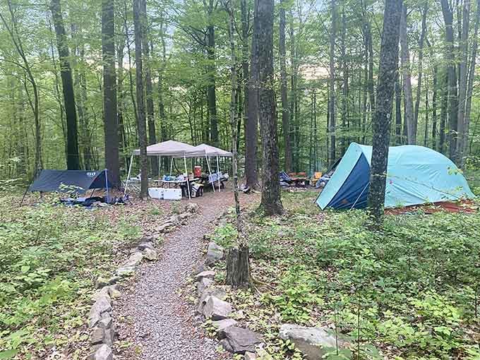 Tents tucked among the tall trees, this is what it looks like when you trade your Wi-Fi password for fresh air.