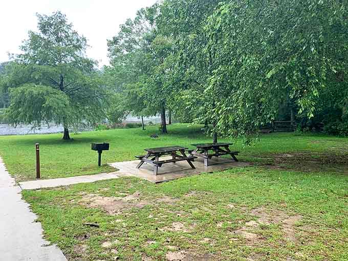 Picnic tables beside the lake on a rainy afternoon. Somehow, even the gray skies can't dim the charm of this spot.