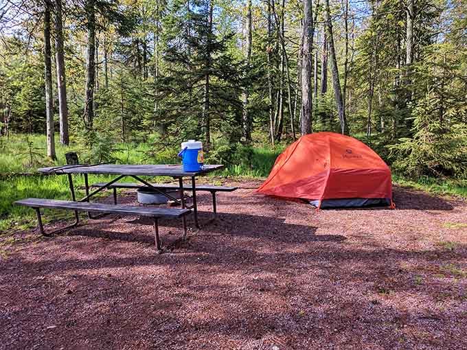 A tent, a picnic table, and pine trees all around. This is what a good night's sleep looks like.